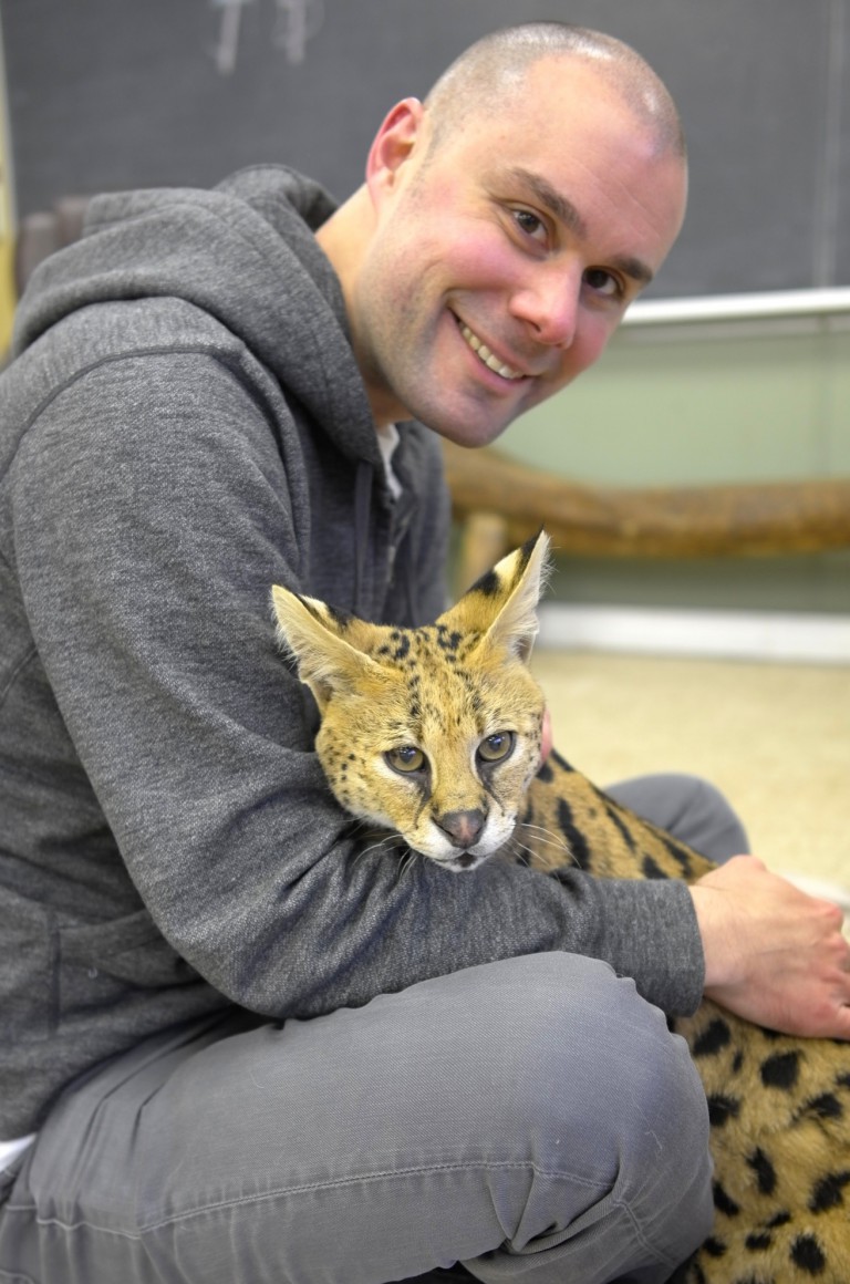 21 Things To Know Before Caring For An African Serval Cat – Tele-Talk